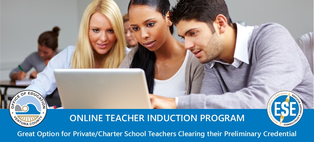 Online Teacher Induction